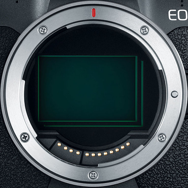 IBIS is real - the R5 and R6 are coming Tag name Category name Canon News