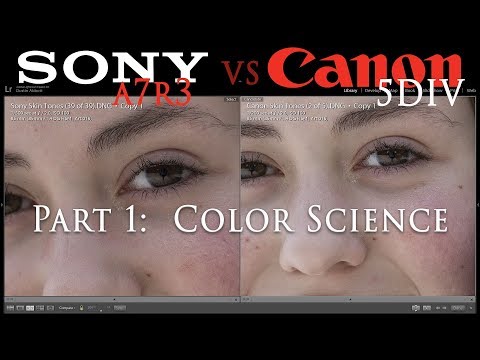 Canon Color Science: 5D Mark IV versus the A7R III Tag name Category ...
