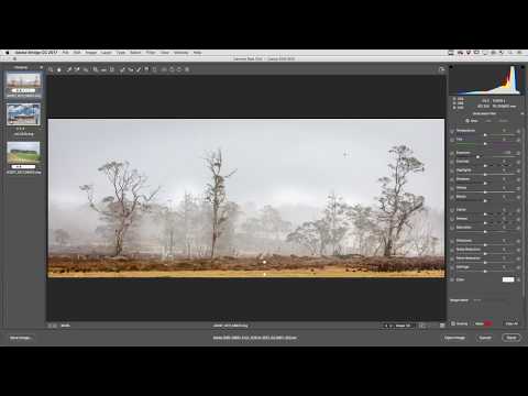 Adobe releases ACR 10 - adds range masking Tag name Category name Canon ...